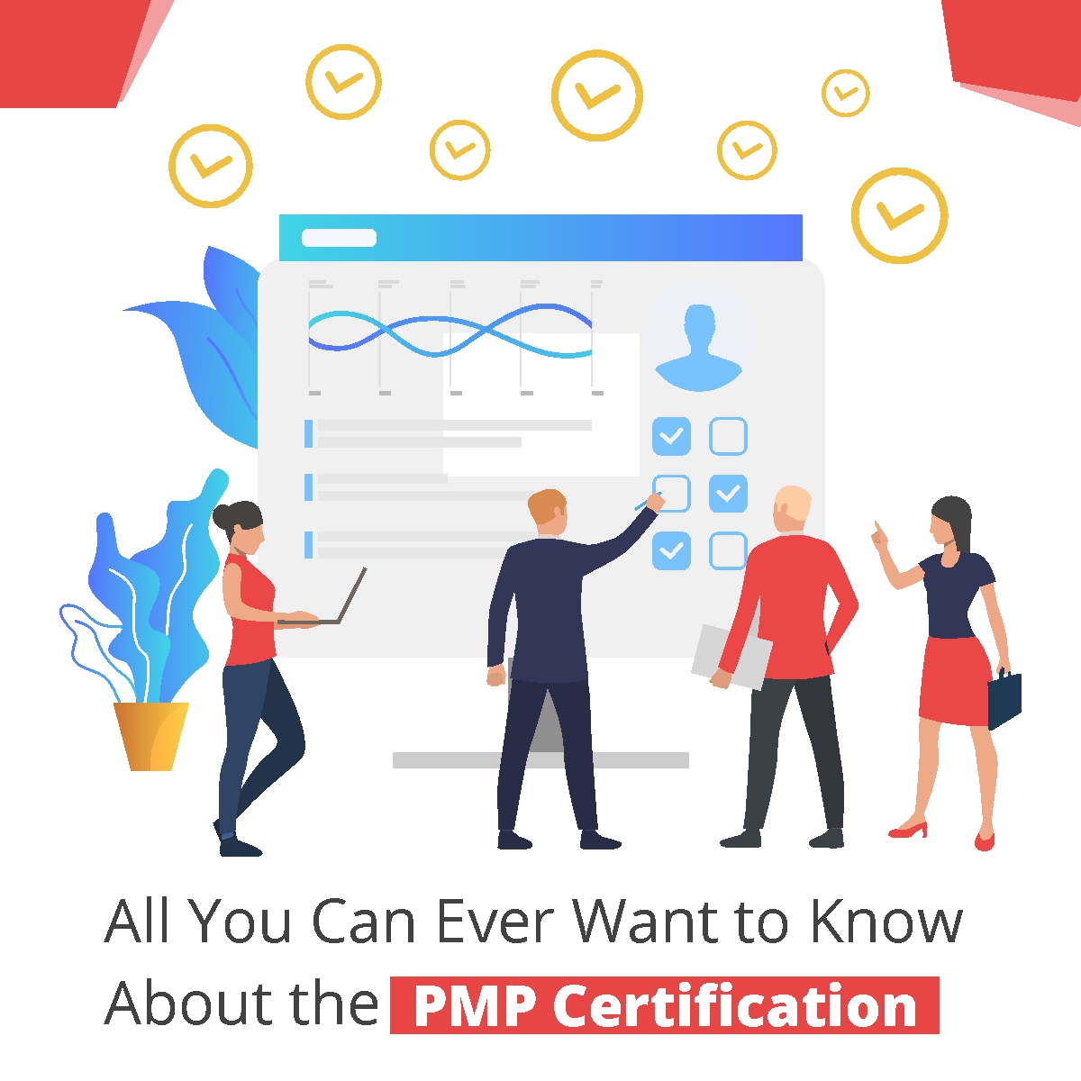 All You Can Ever Want to Know About the PMP Certification